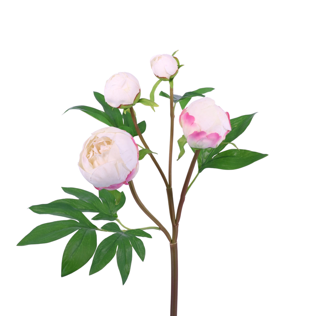 Florals - Natural Touch – Green Import Limited