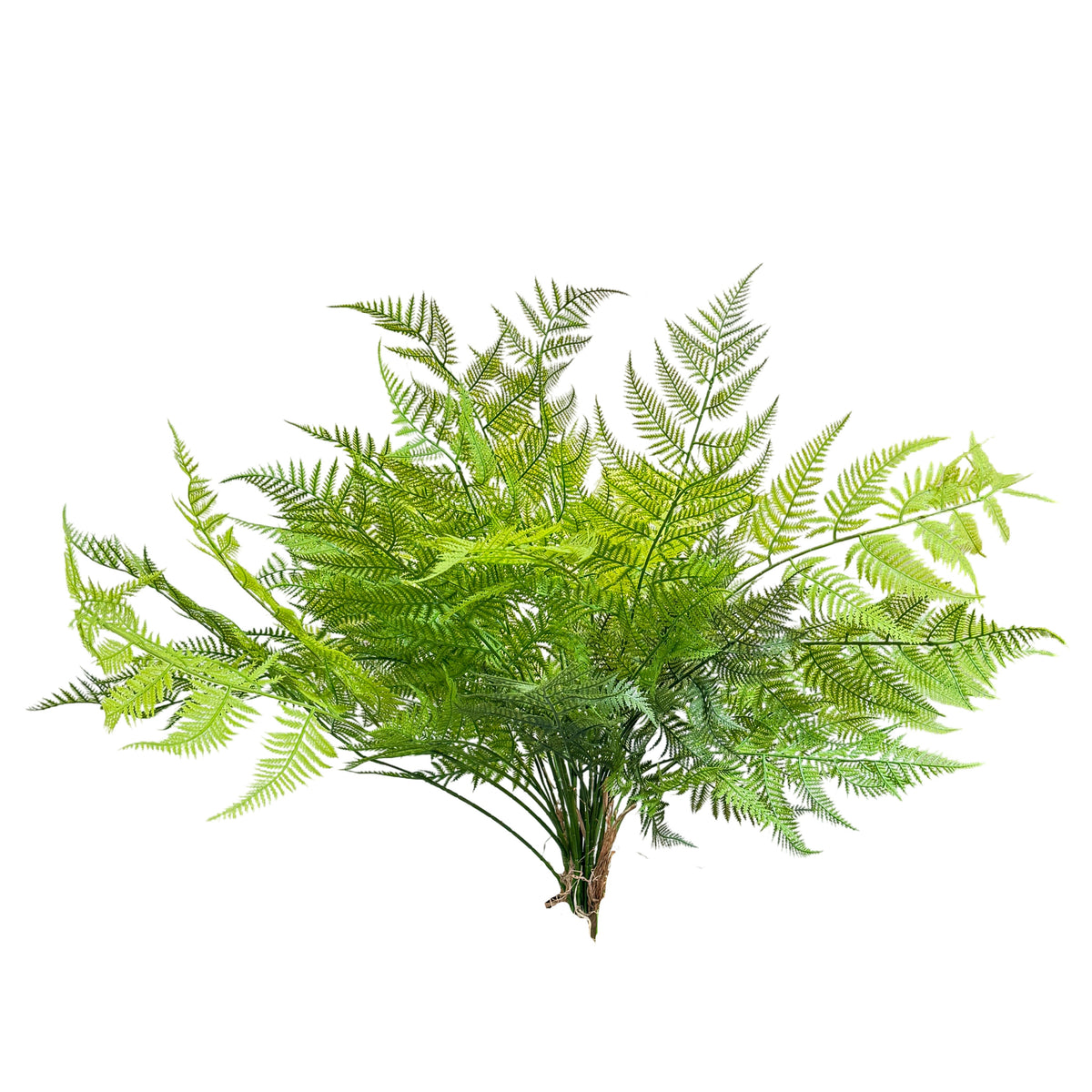 BG10621 FERN BUSH,35" – Green Import Limited