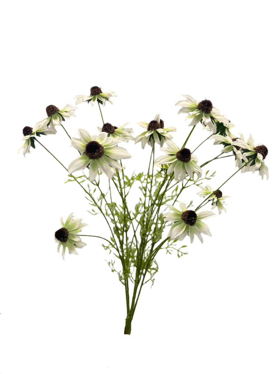 BF10268 BLACK EYE SUSAN BUSHx5 22" – Green Import Limited