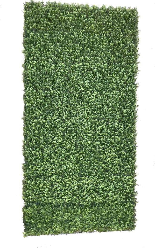 PM10332 BOXWOOD WALL MAT-UV,4'x8' – Green Import Limited