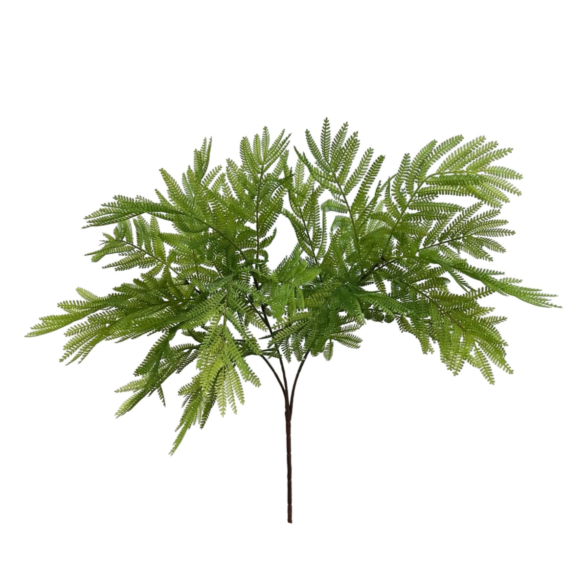 PM10366 FERN SPRAY,32in-24/120P – Green Import Limited