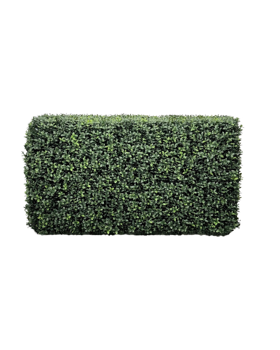 UVT1015 BOXWOOD HEDGE(UV),35x14x20inH-2P – Green Import Limited