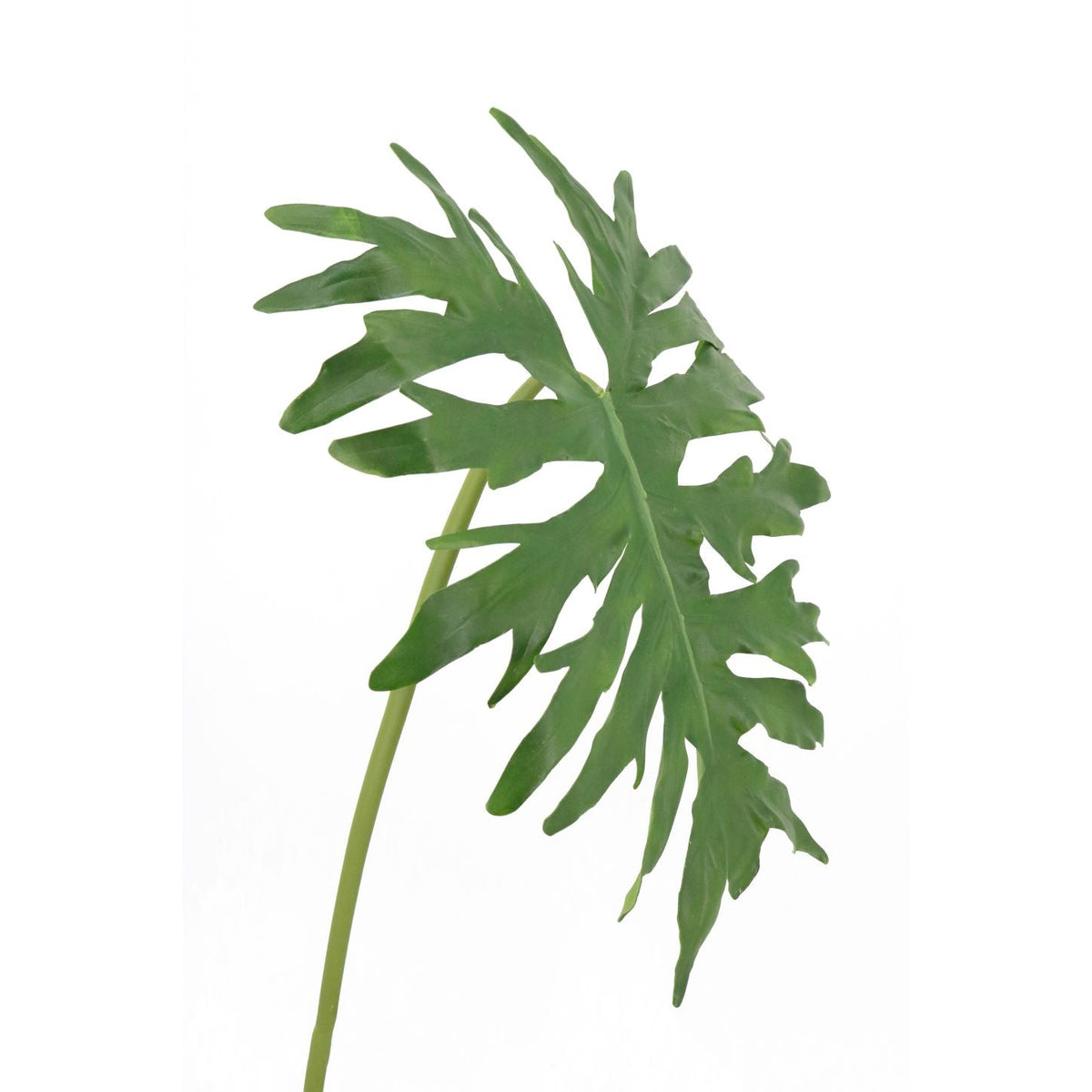 FL11786 SPLIT PHILO LEAF,43in-12P/36/7.67' – Green Import Limited